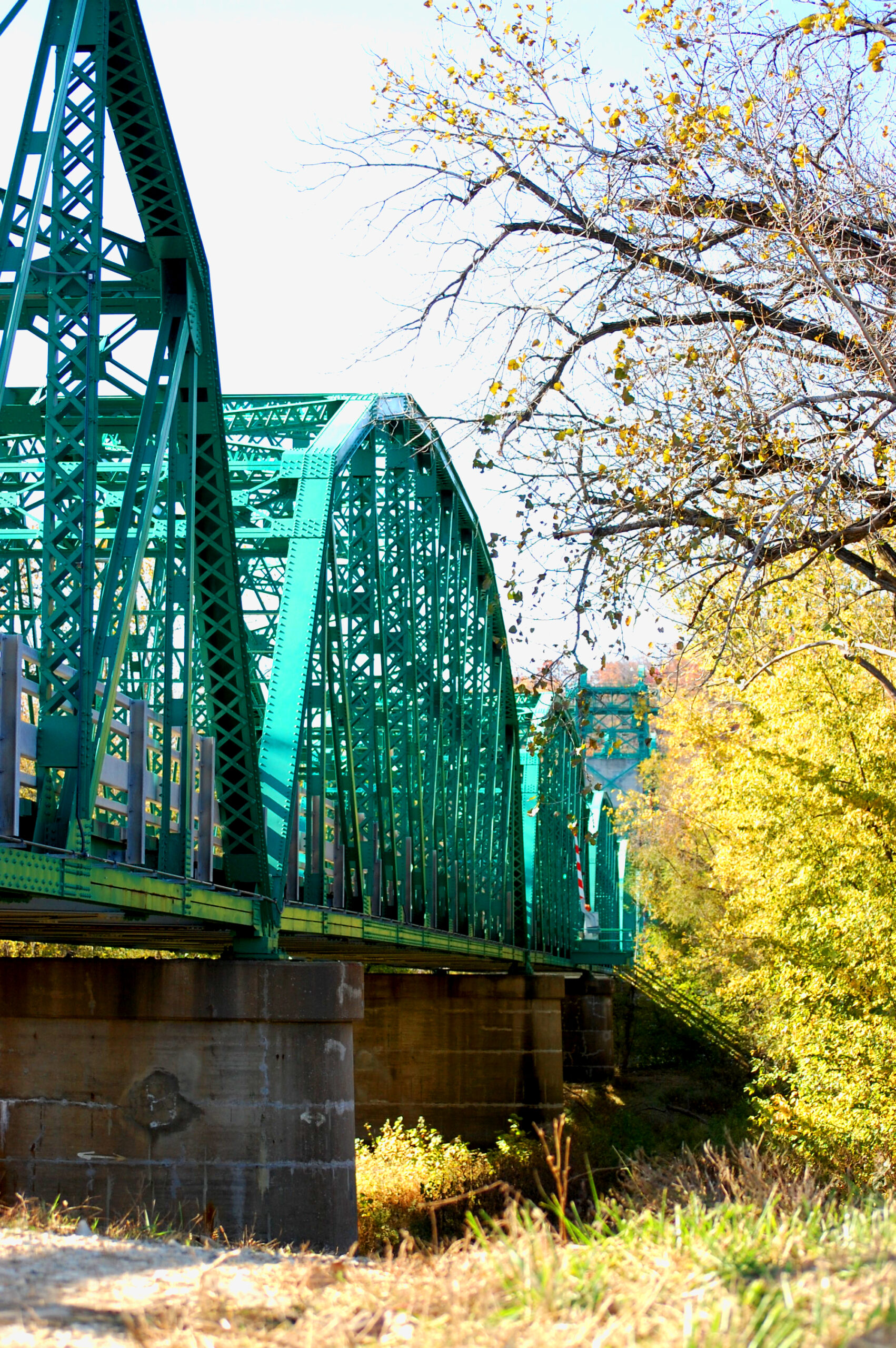 Visit Calhoun County: Illinois' Hidden Gem